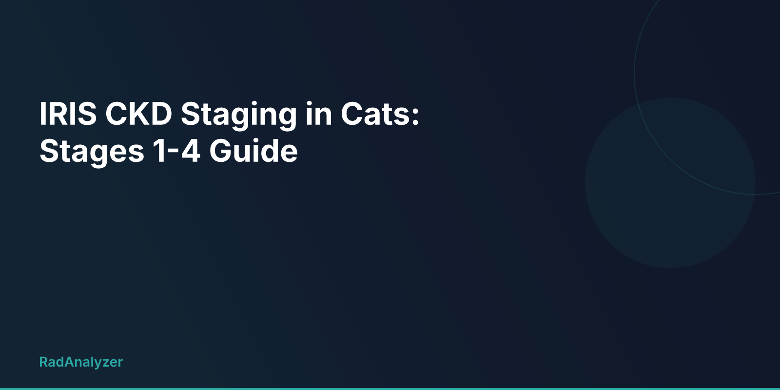 IRIS CKD Staging in Cats: Stages 1-4 Guide | RadAnalyzer